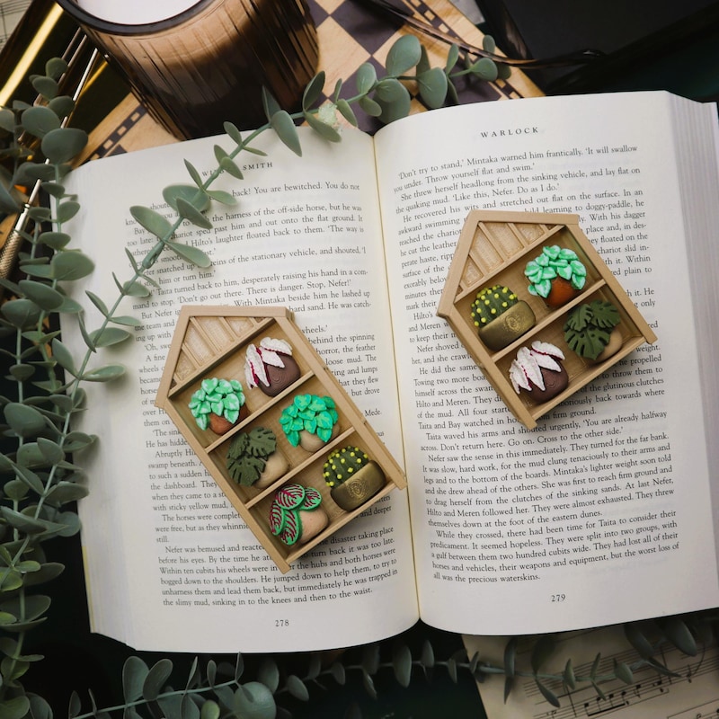 Dopamine Bookshelf - Etsy