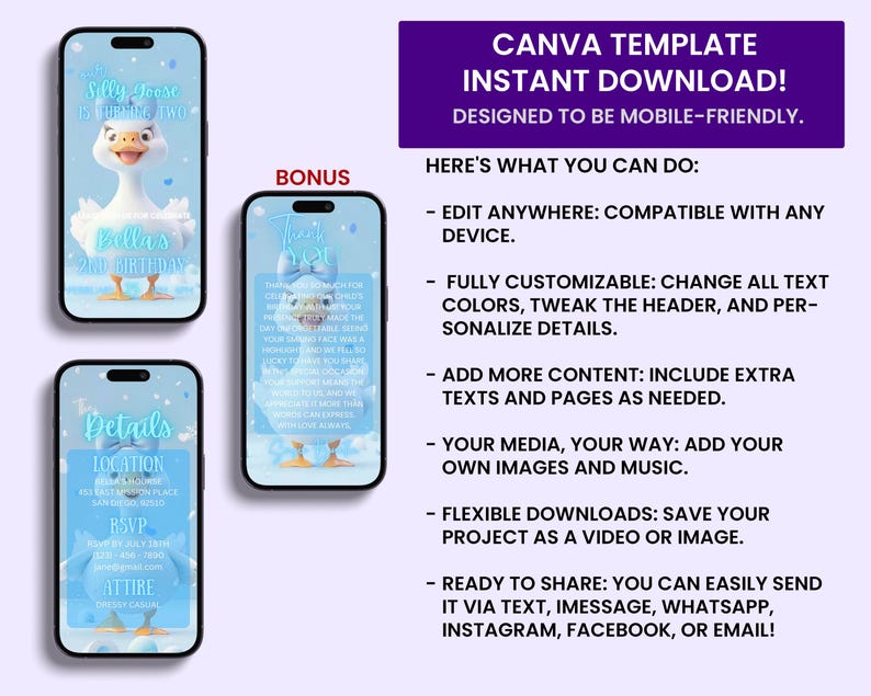 Silly Goose Birthday Video Invitation, Animated Blue Gingham Boy Party ...