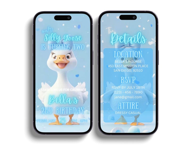 Silly Goose Birthday Video Invitation, Animated Blue Gingham Boy Party ...