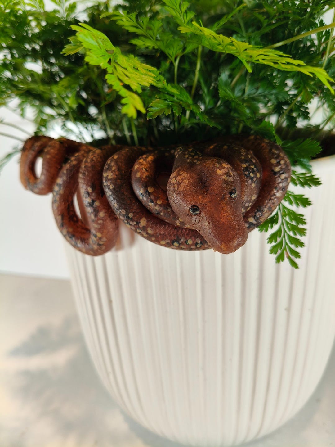 Snake Plant Pal - Etsy