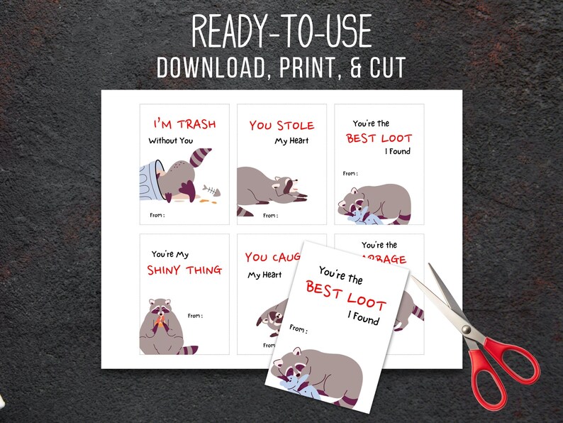 Funny Raccoon Valentine's Day Card, Raccoon Valentines Card, Funny ...