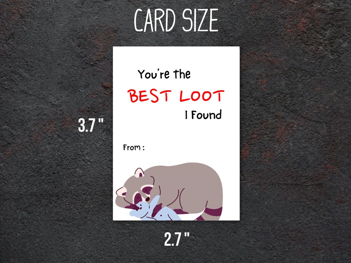 Funny Raccoon Valentine's Day Card, Raccoon Valentines Card, Funny ...
