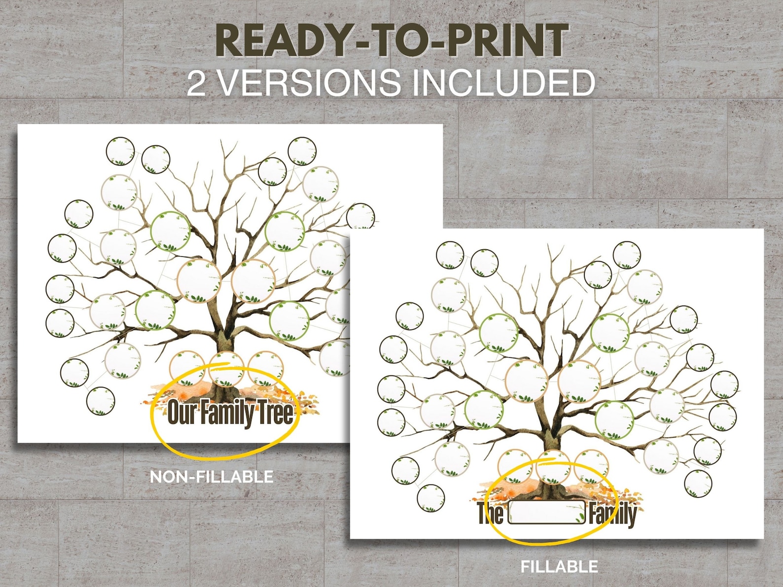 5-generation Family Tree Chart: Editable Template (PDF) - Etsy