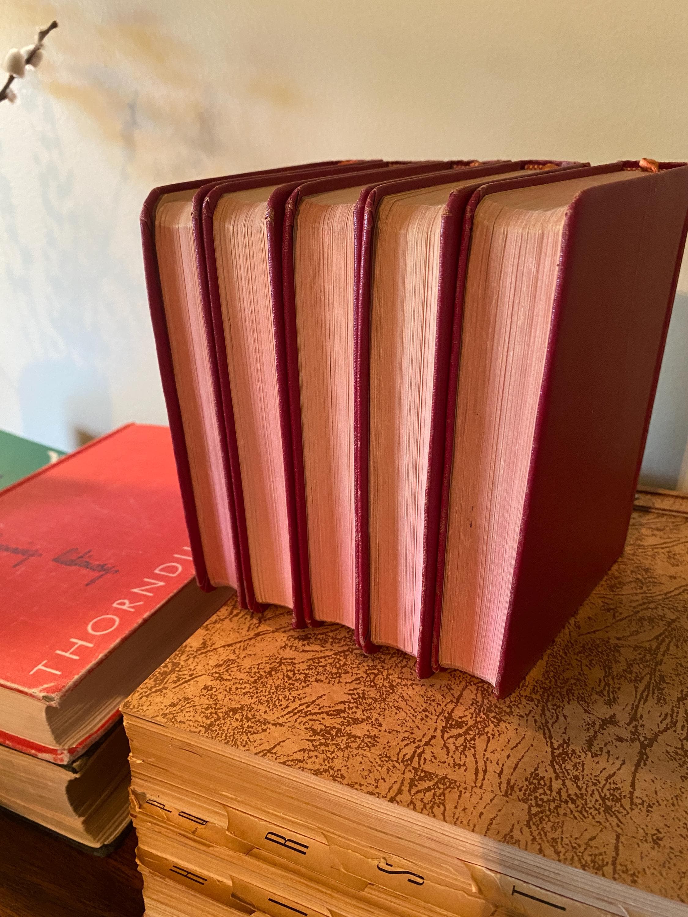 Anthology of the Worlds Best Poems Book Set.by Edwin Markham.pretty Red ...