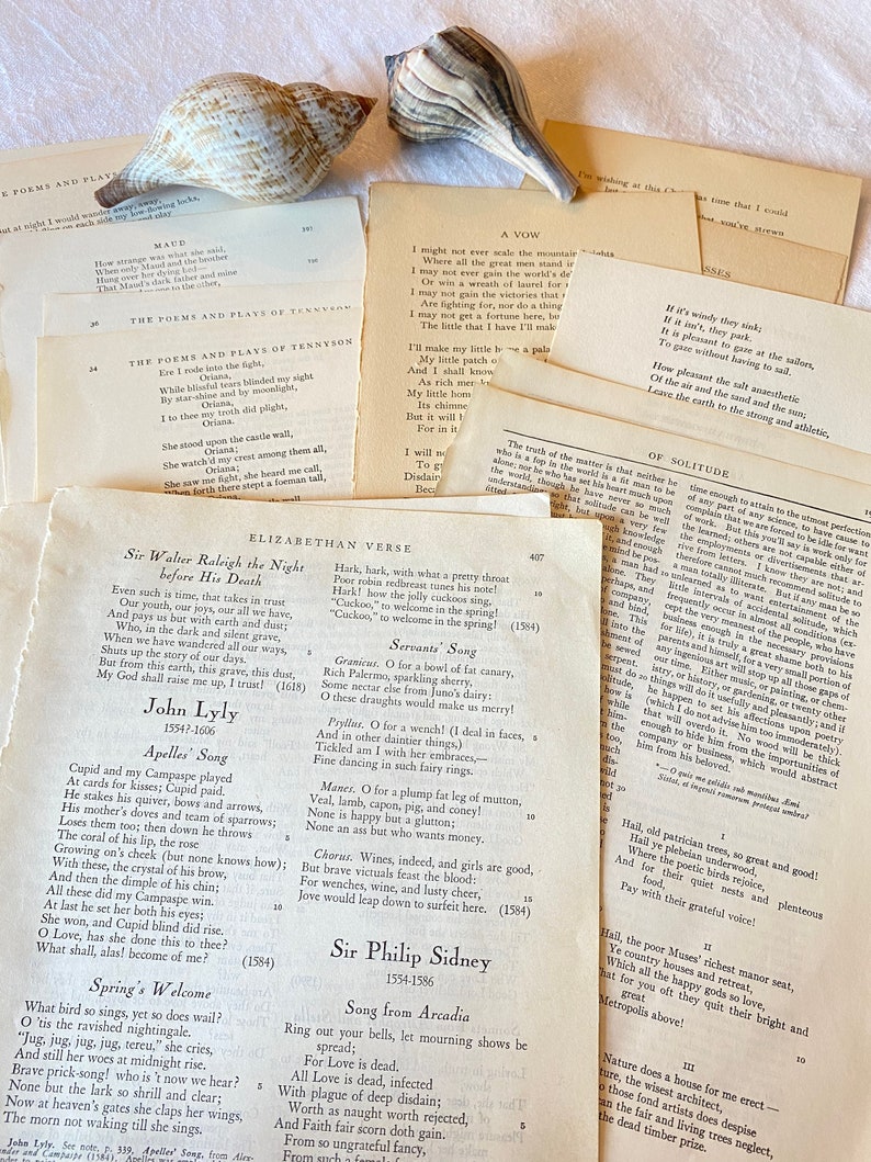 Poetry Collage Kit With Old Book Pages for Journaling. Large - Etsy