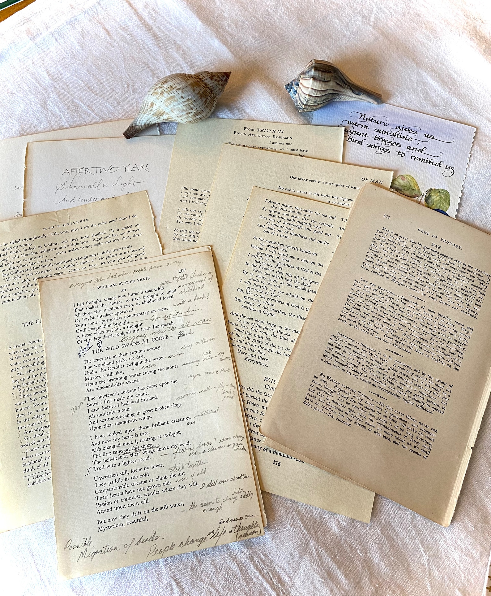 Poetry Collage Kit With Old Book Pages for Journaling.large Curated ...