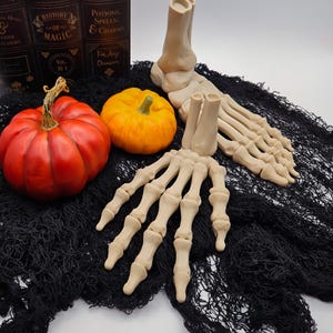 Articulated Skeleton Hand & Foot: Halloween Gothic Decor - Etsy