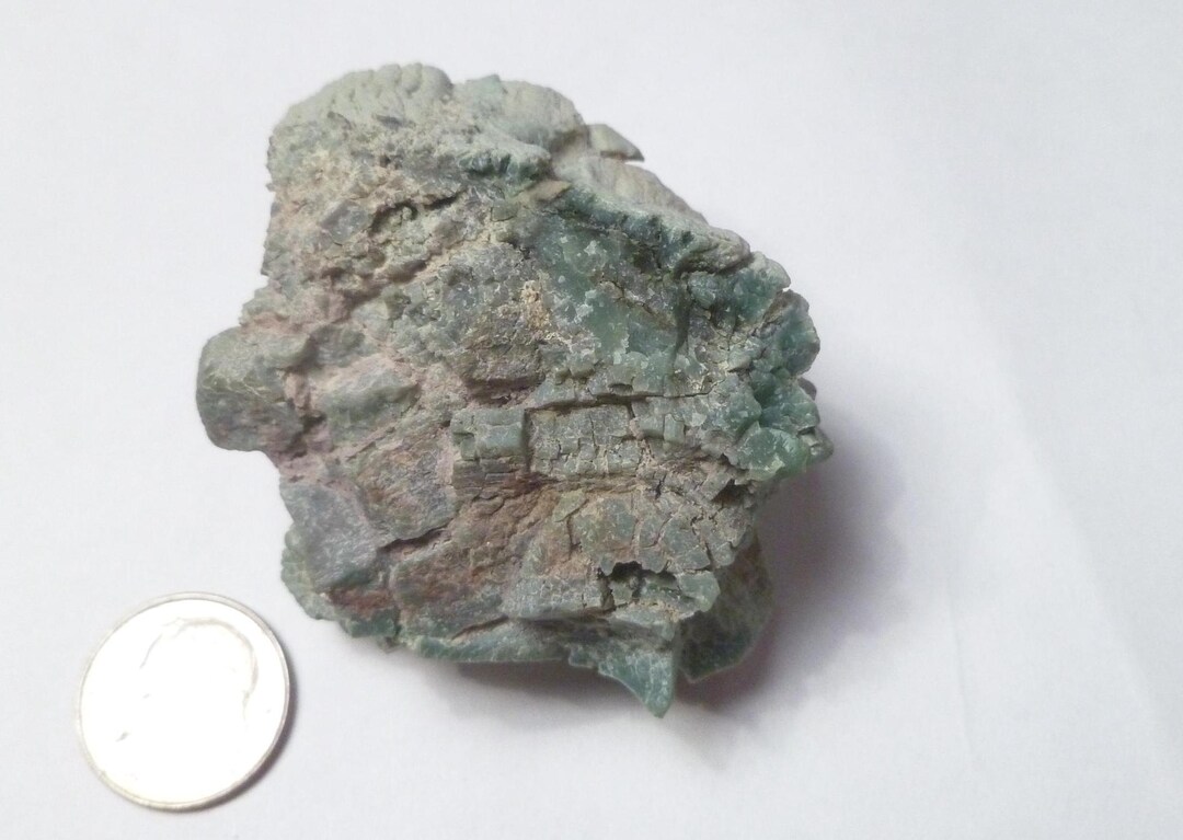 2" CHROMIUM STUMP! Petrified Wood Log ARIZONA 371cts - Etsy