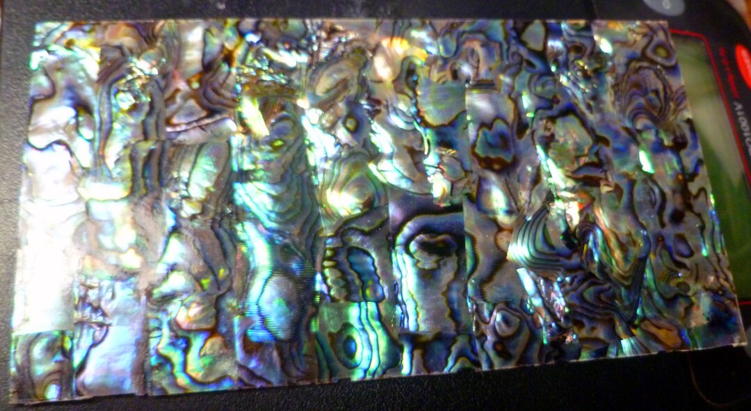 3"x5.5" Natural Paua Shell Veneer INLAY OVERLAY Luthier Scrapbook Cut ...