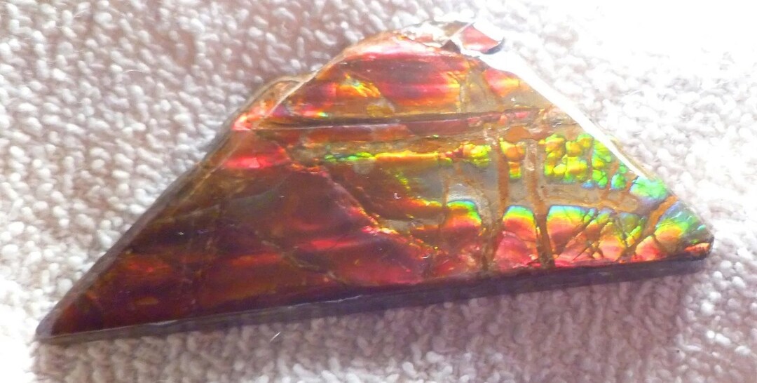 3.6 Multi Color AMMOLITE Gemstone Rough Specimen 90x40mm Canada - Etsy