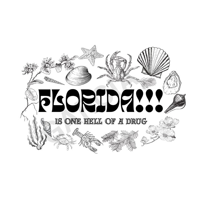 Florida PNG SVG Taylor Swift Cutting Machine Files Cricut TTPD ...