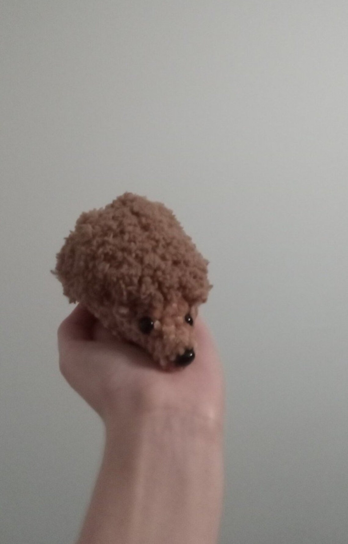 Small Baby Hedgehog Crochet Plush - Etsy