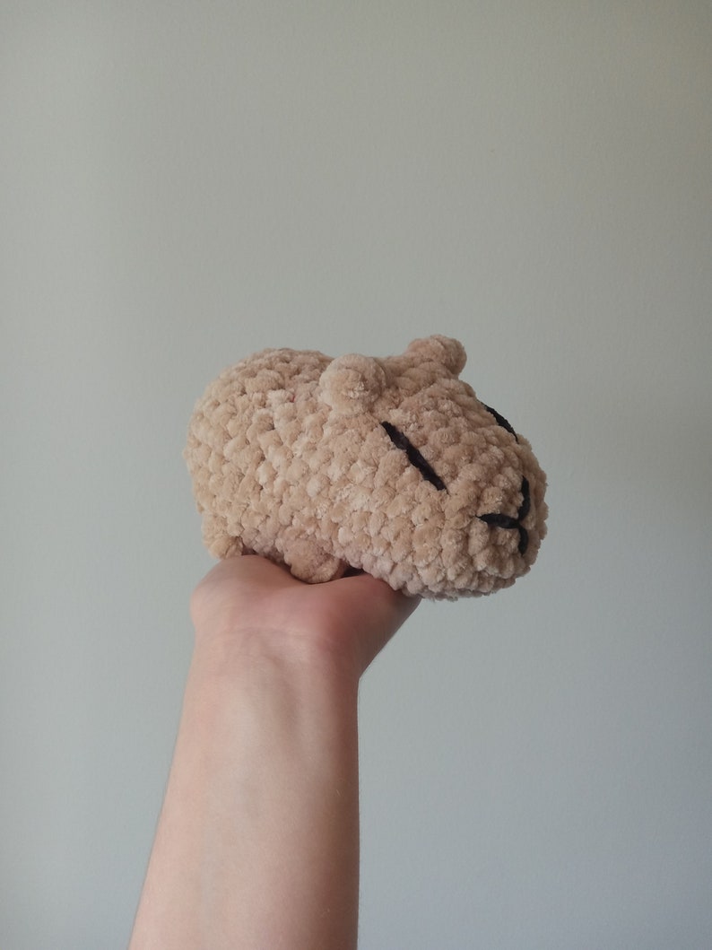 Baby Capybara Crochet Plush - Etsy