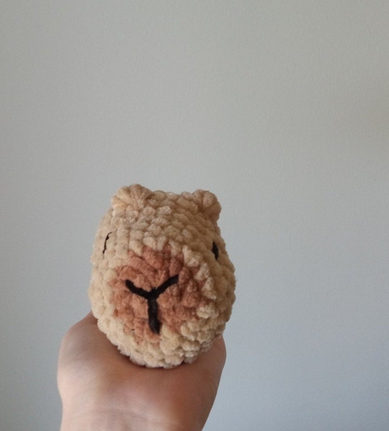 Baby Capybara Crochet Plush - Etsy