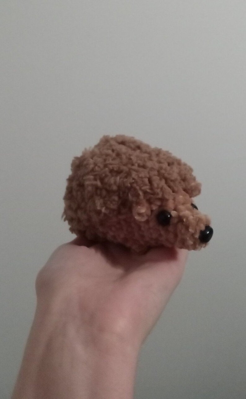 Small Baby Hedgehog Crochet Plush - Etsy