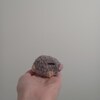 Star Nosed Mole Stuffed Animal Pattern PDF - Plushie Sewing Pattern ...