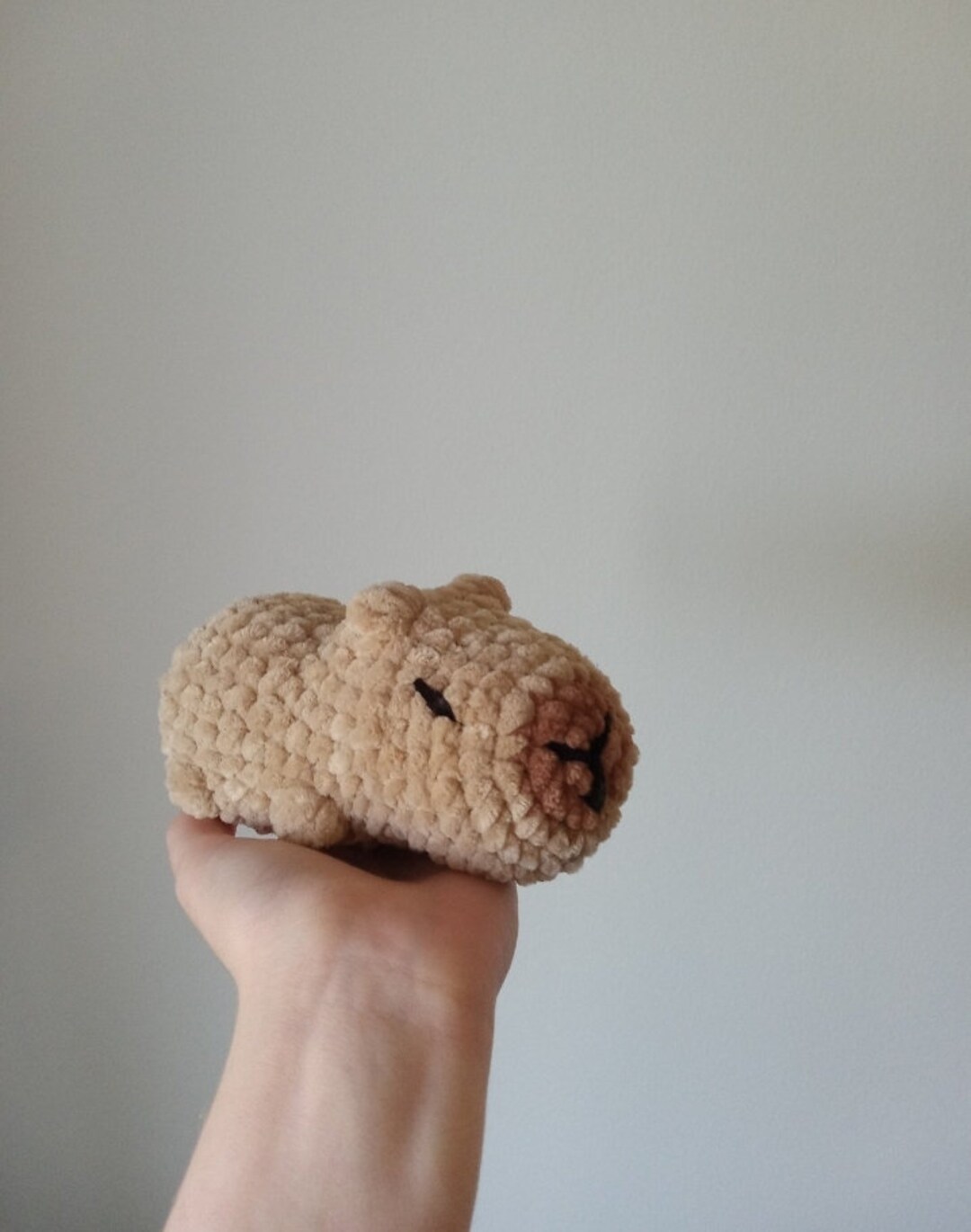Baby Capybara Crochet Plush - Etsy