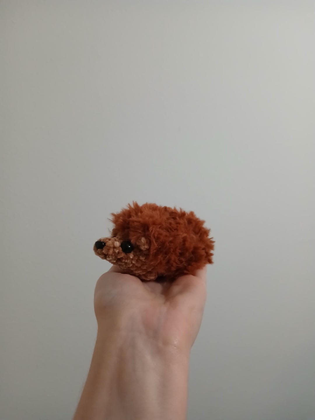 Small Baby Hedgehog Crochet Plush - Etsy