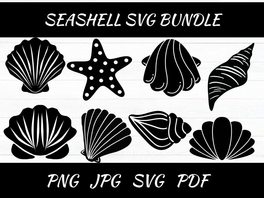 Seashell SVG - Seashell SVG Bundle - Seashell Cut Files - Seashell ...