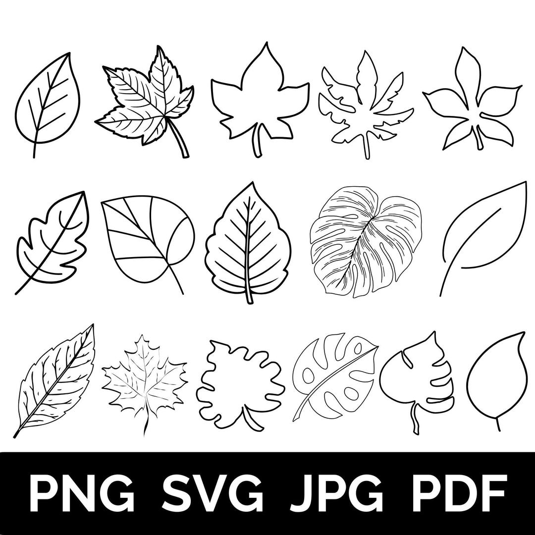 Leaf Outlines Vector Bundle | SVG, PNG, PDF (digital Download) - Etsy