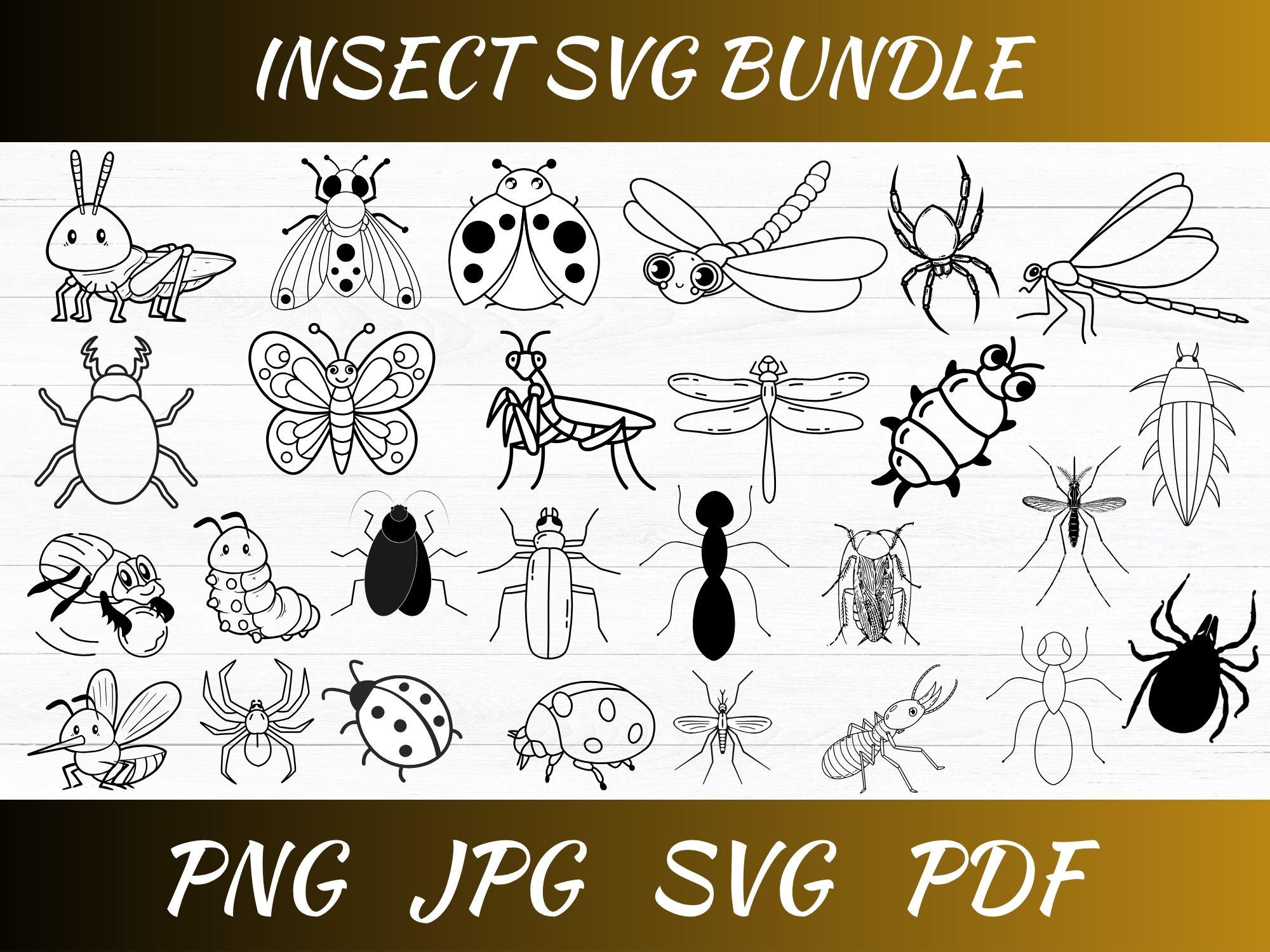 Insect SVG Bundle: Clipart, Silhouette Cut Files for Cricut - Etsy