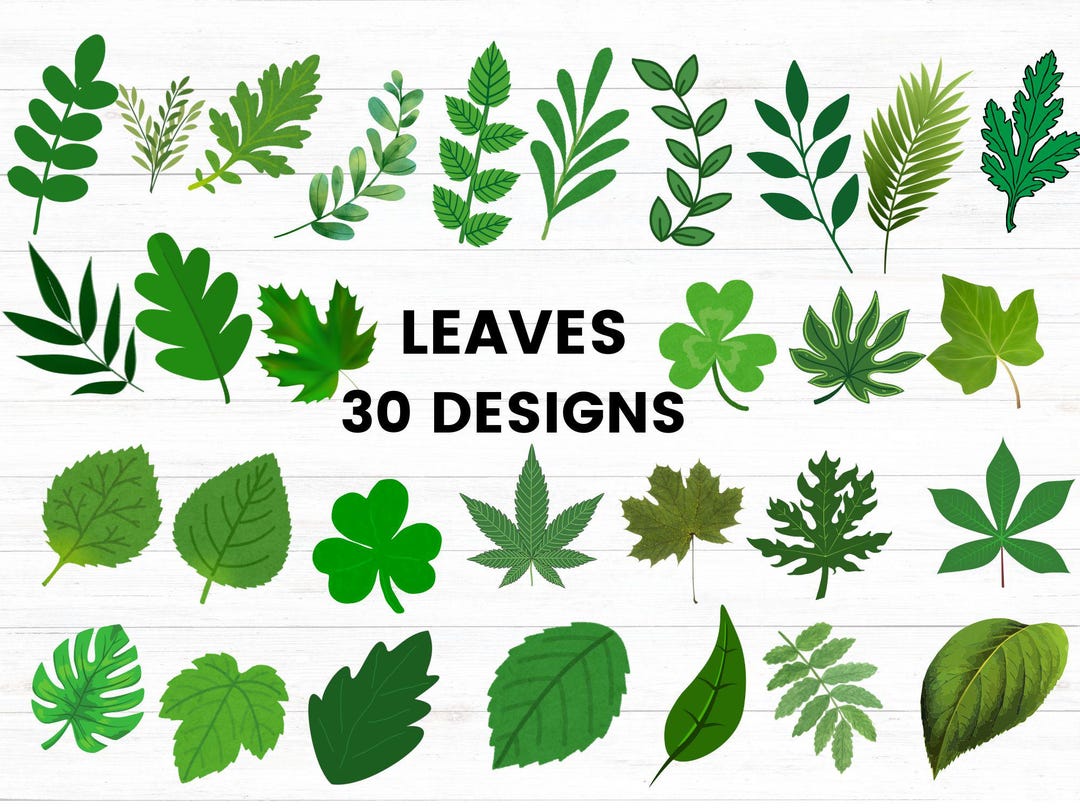 Paper Leaves SVG/ Leaf Templates/ Cut Files for Cricut/ Silhouette ...