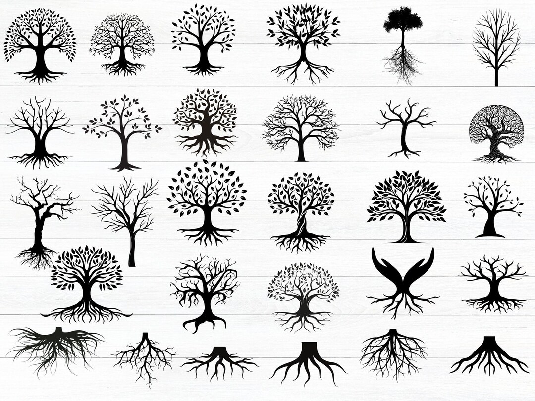 Tree With Roots SVG Bundle: Family Tree Cut Files (PNG/JPG) - Etsy