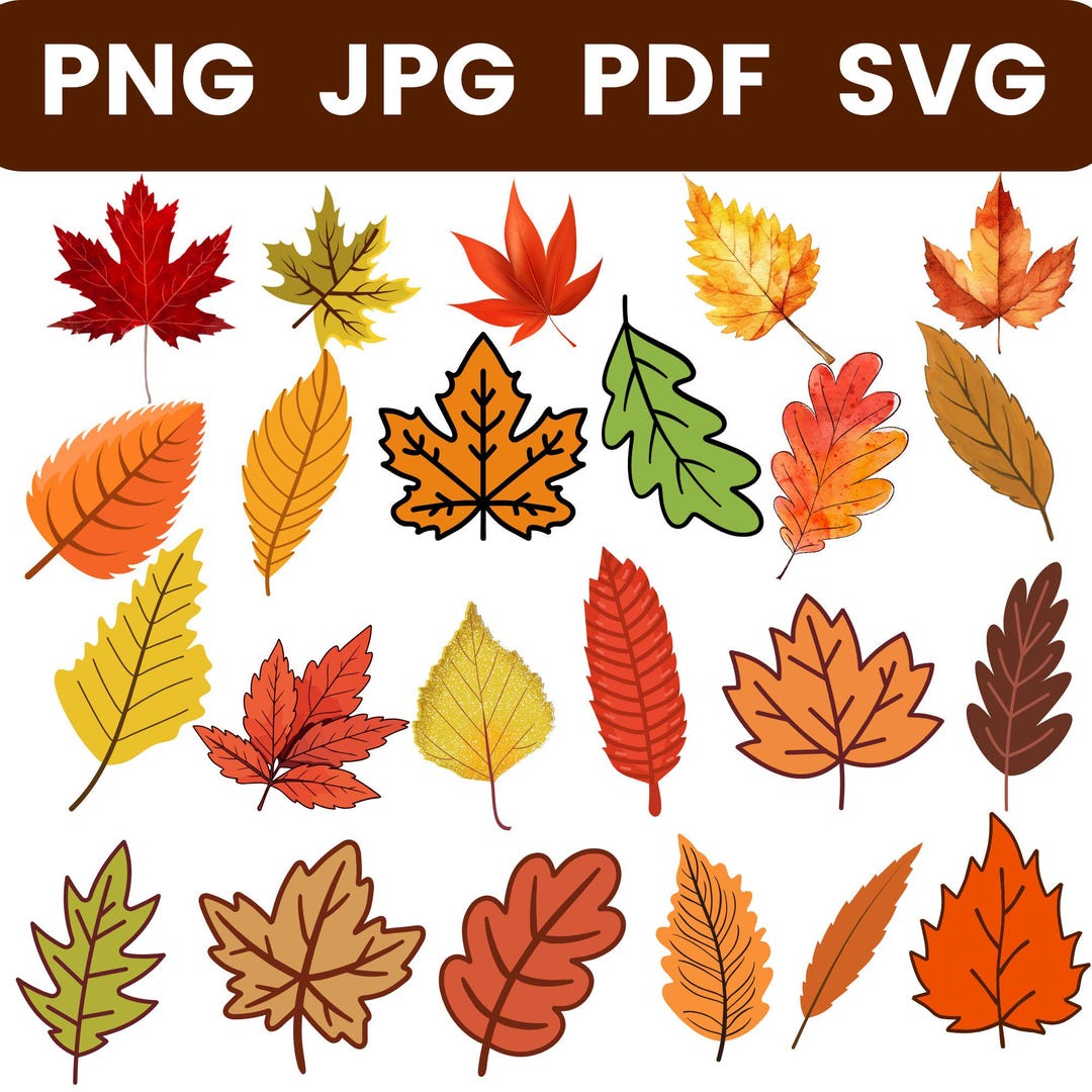 Fall Leaves Svg, Fall Svg, Fall Leaf Svg Bundle, Fall Png, Dxf, Clipart ...