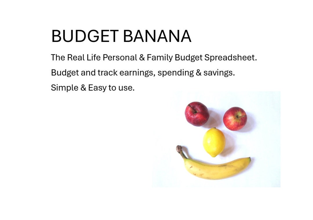 Personal & Family Budget Spreadsheet, Real Life, Nice and Simple - Etsy