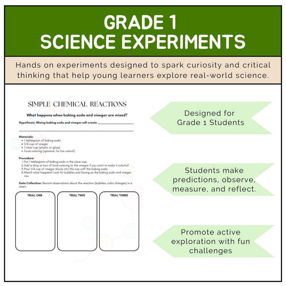 Grade 1 Science Experiments Workbook | 15 Hands-on STEM Activities (PDF ...