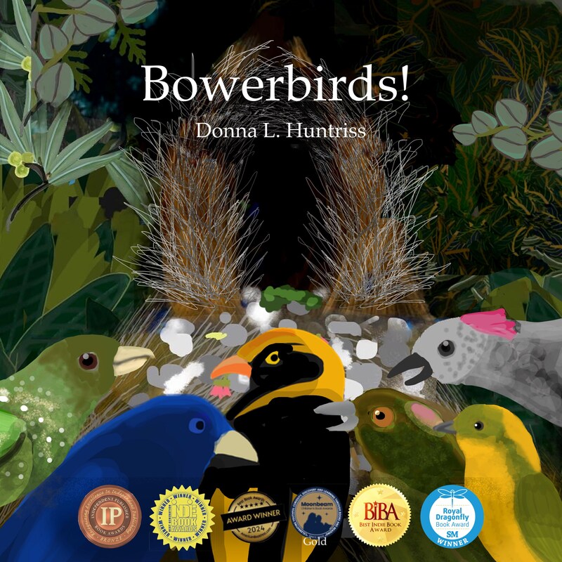 Bowerbird - Etsy Australia