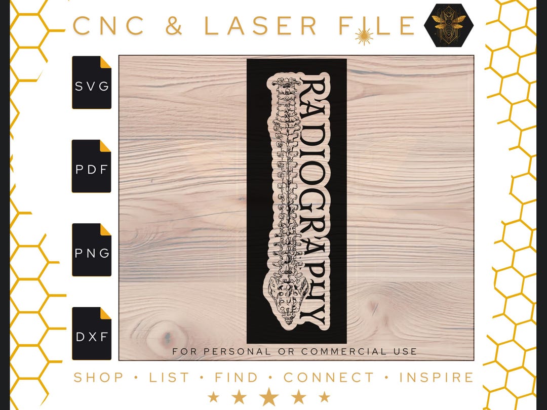 Radiography Sign Spine | Detailed Spine X-ray | Anatomy Vector File ...