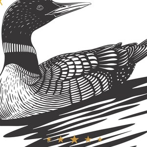 Common Loon Vector File No.2 Svg | Loon Svg | Loon Hunting Svg File ...