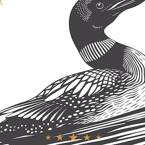 Common Loon Vector File No.1 Svg | Loon Svg | Loon Hunting Svg File ...