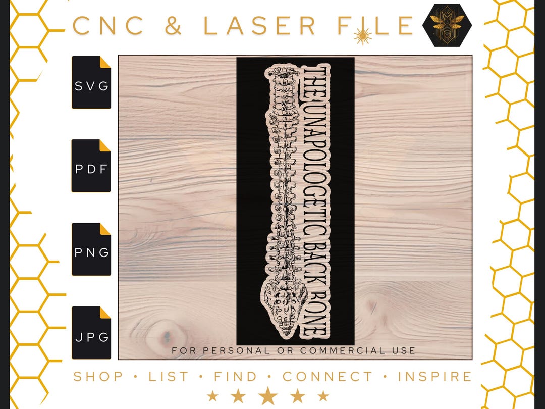 The Unapologetic Back Bone Sign Spine | Detailed Spine Xray | Anatomy ...