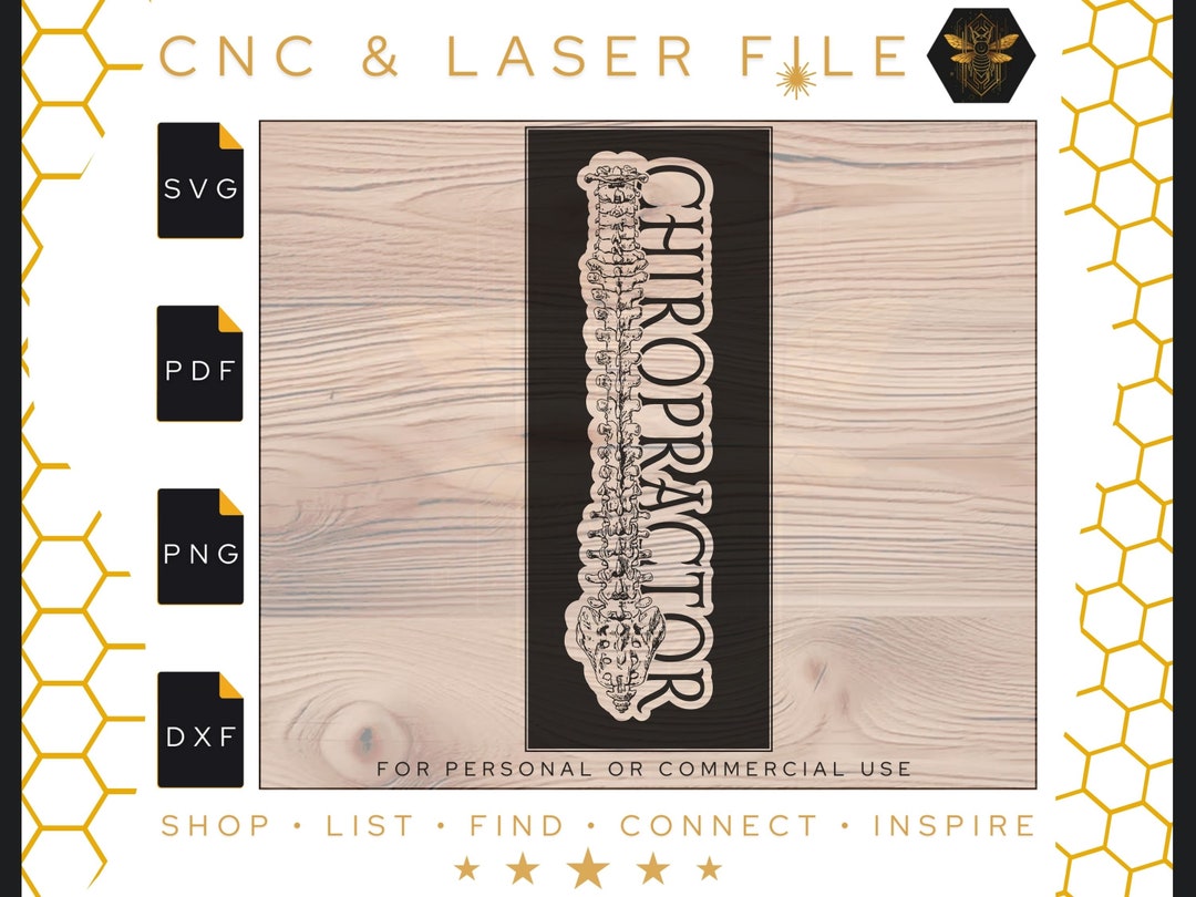 Chiropractor Sign Spine | Detailed Spine | Anatomy Vector File ...