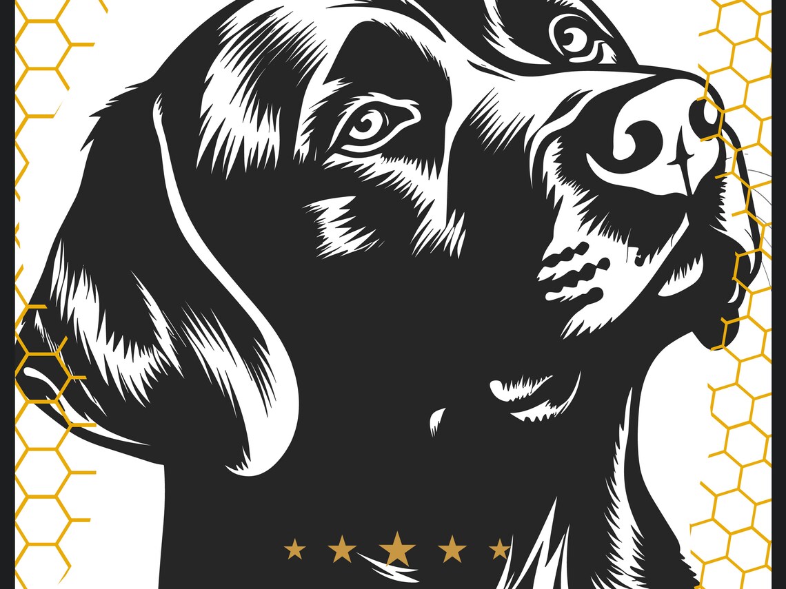 Labrador Breed Vector File Labrador Svg Lab Svg File Labrador Dog Svg ...