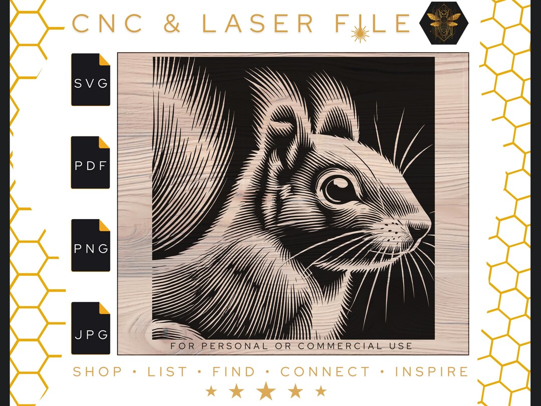 Squirrel Detailed Vector Illustration | Squirrel | Squirrel Black ...