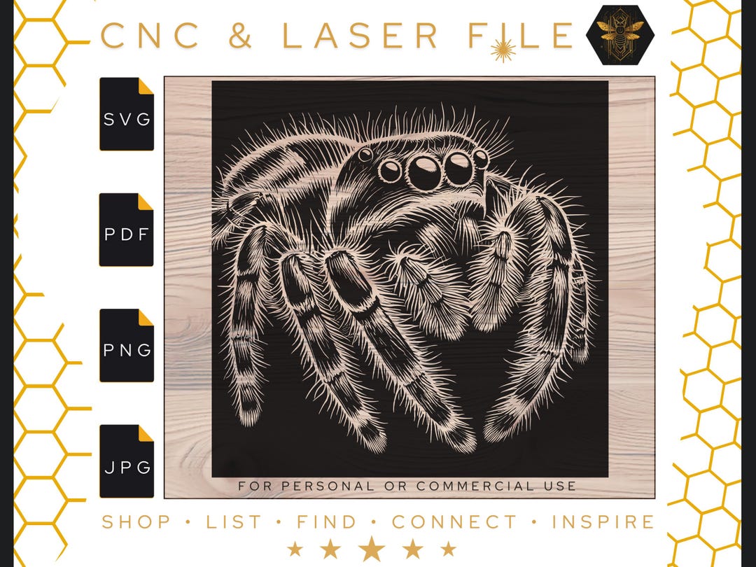 Cute Jumping Spider Detailed SVG | Spider Vector File | Pet Spider Svg ...