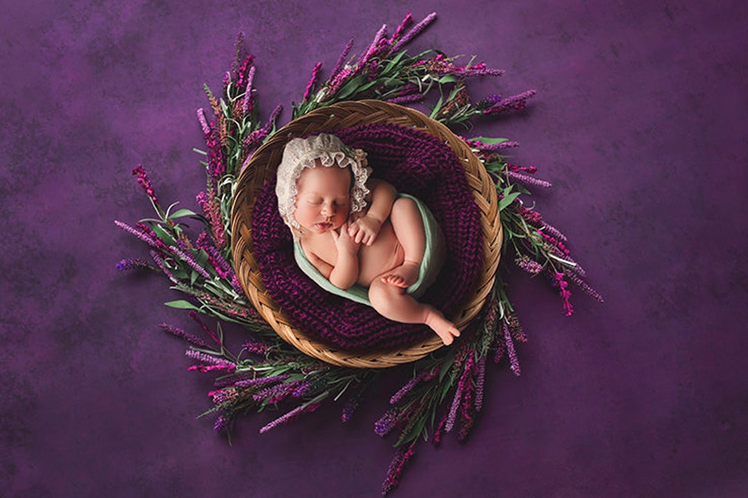 Dark Purple Floral Digital Backdrop, Digital Backdrop, Birdeye Bowl ...