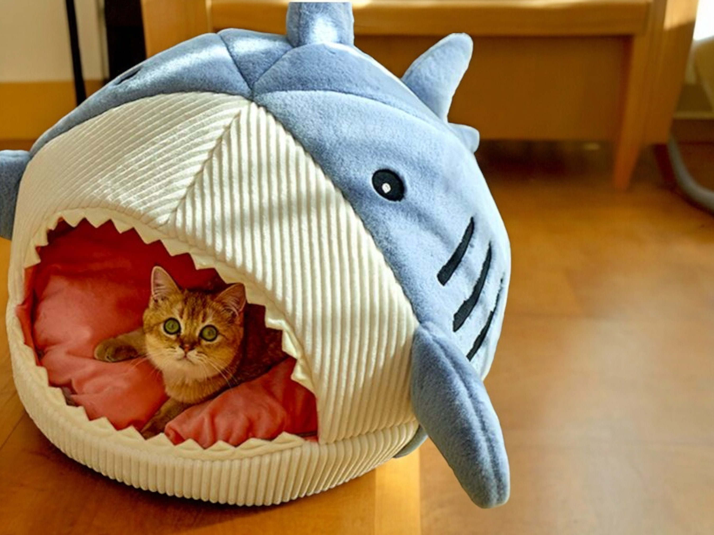 Plush Shark Cat Bed Cute Shark Cat House, Funny Shark Cat Cave, Shark ...