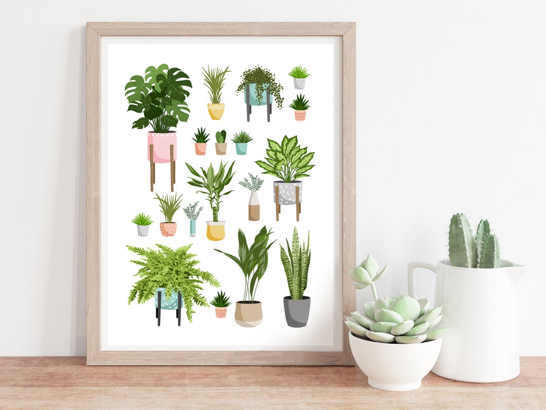 Pot Plant Digital Artwork, Printed Artwork, Indoor Plants, Potted ...