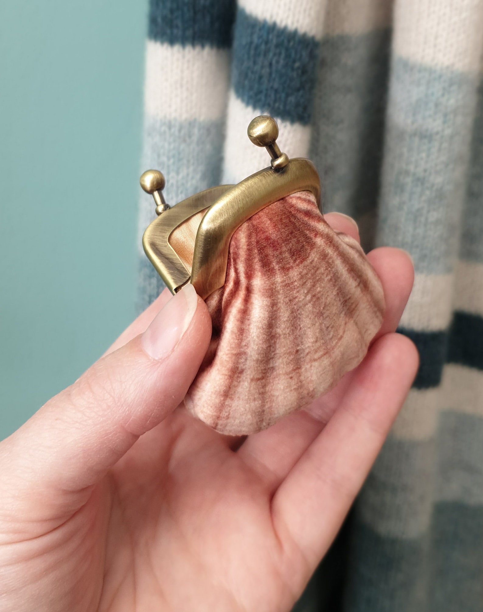 Tiny Velvet Seashell Purse Small Shell Coin Pouch | Etsy