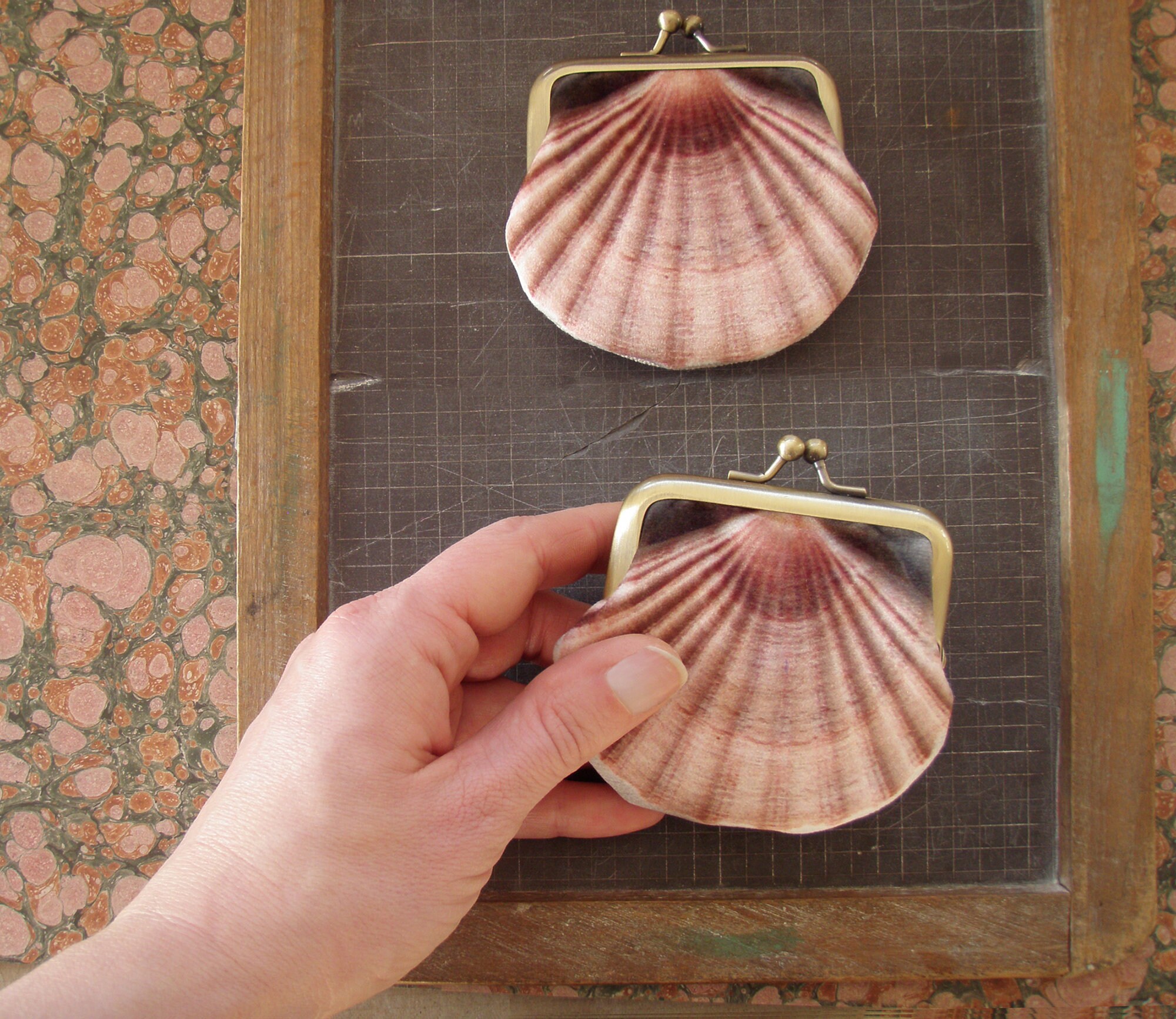 Seashell Coin Purse Velvet Scallop Pouch | Etsy UK