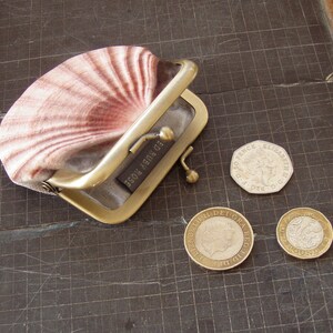 Seashell Coin Purse Velvet Scallop Pouch - Etsy