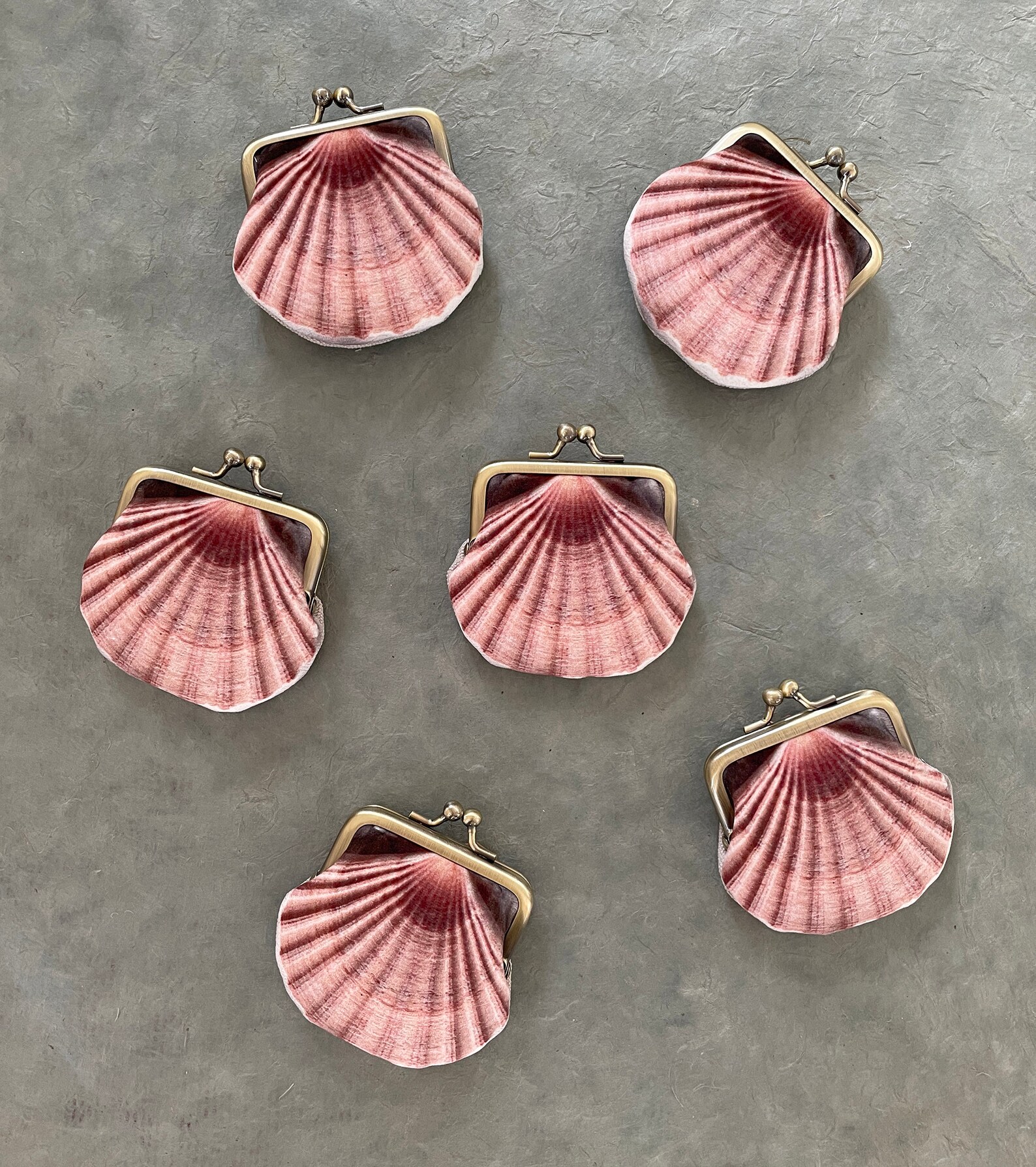 Seashell Coin Purse Velvet Scallop Pouch - Etsy UK