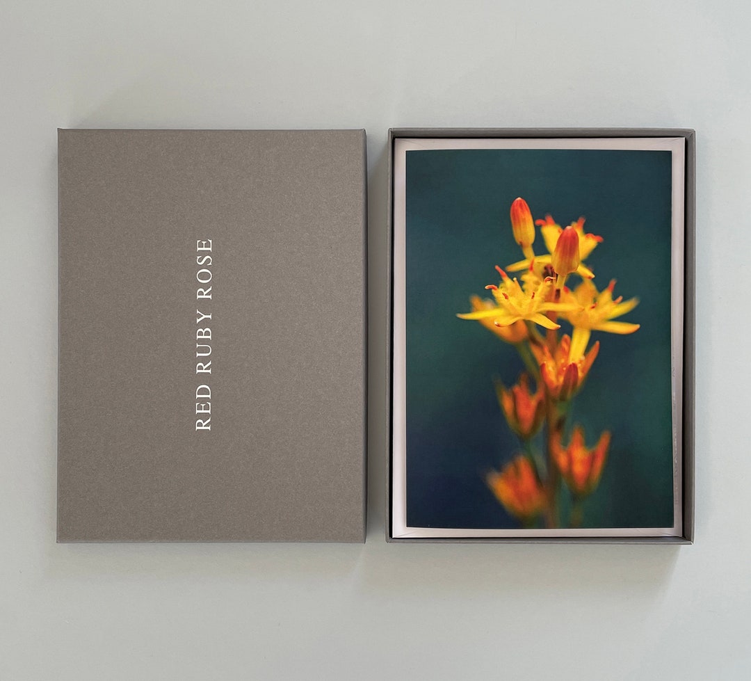 Large Greetings Cards Box Set - Six Original Designs With Envelopes ...