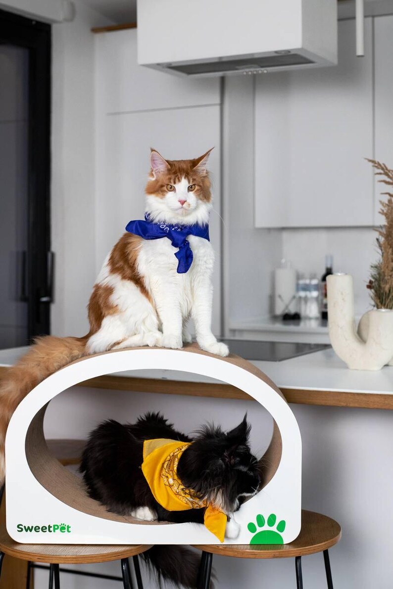 Modern Cat Scratch Post, Sustainable Cat Play Furniture, Durable Kitten ...