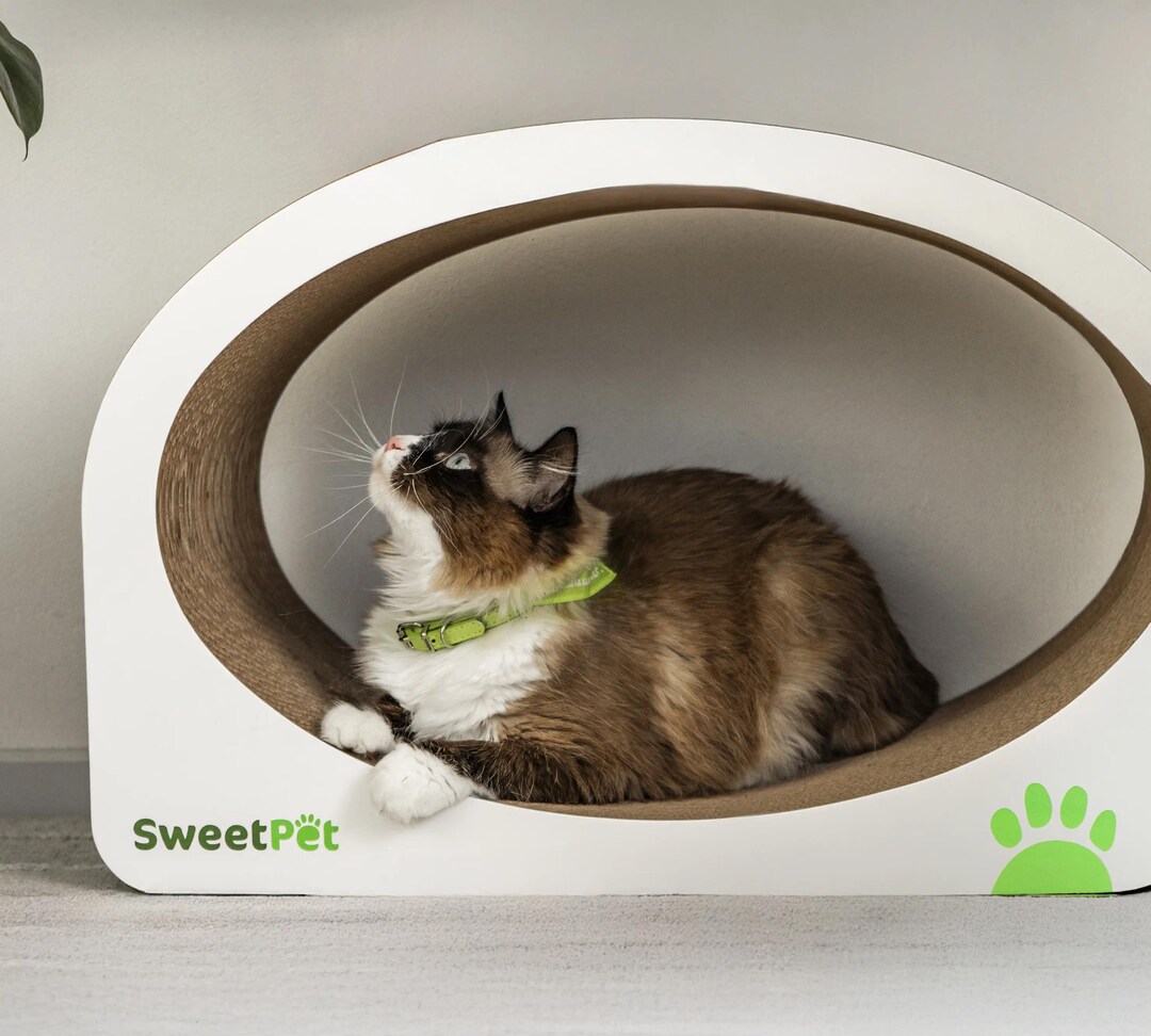Minimalist Cat Scratching Post, Modern Cat Play Furniture, Sustainable ...