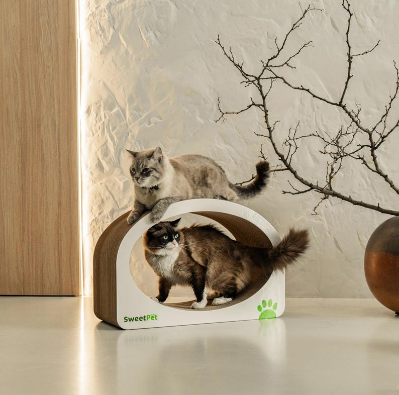 Modern Cat Scratch Post, Sustainable Cat Play Furniture, Durable Kitten ...